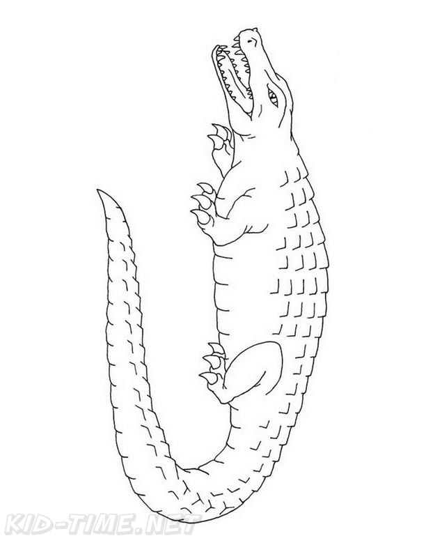 coloring book alligator