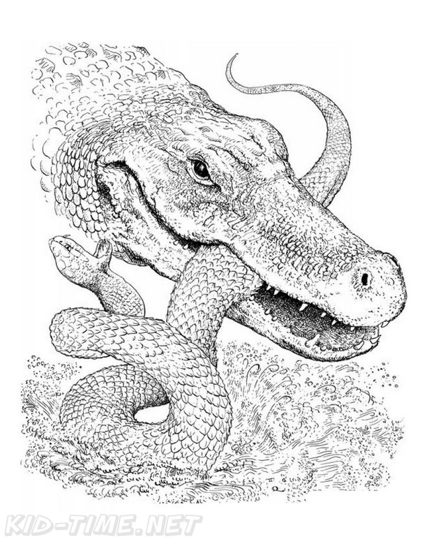 free aligator coloring pages