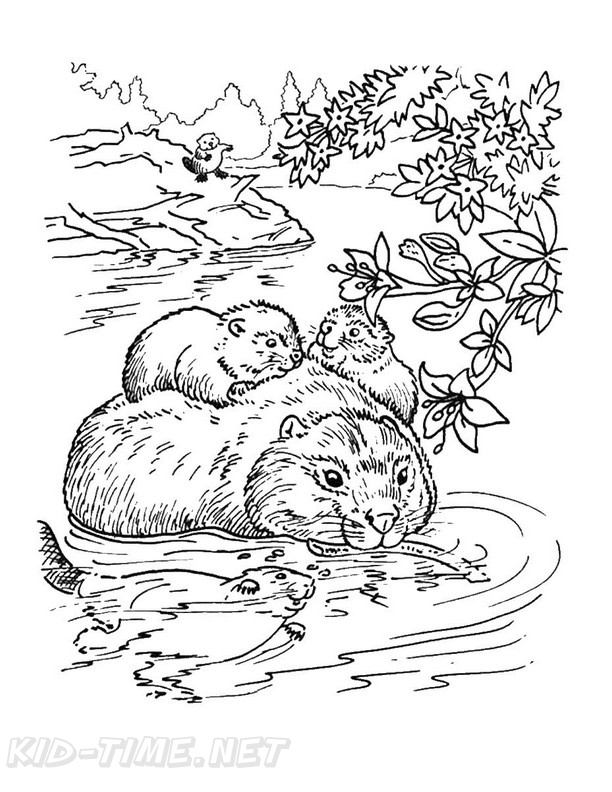 Beaver Coloring Pages