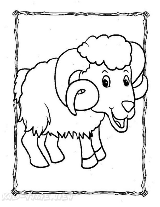 long horn sheep coloring pages