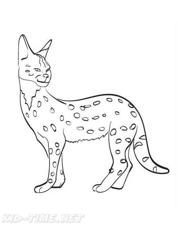 serval coloring pages