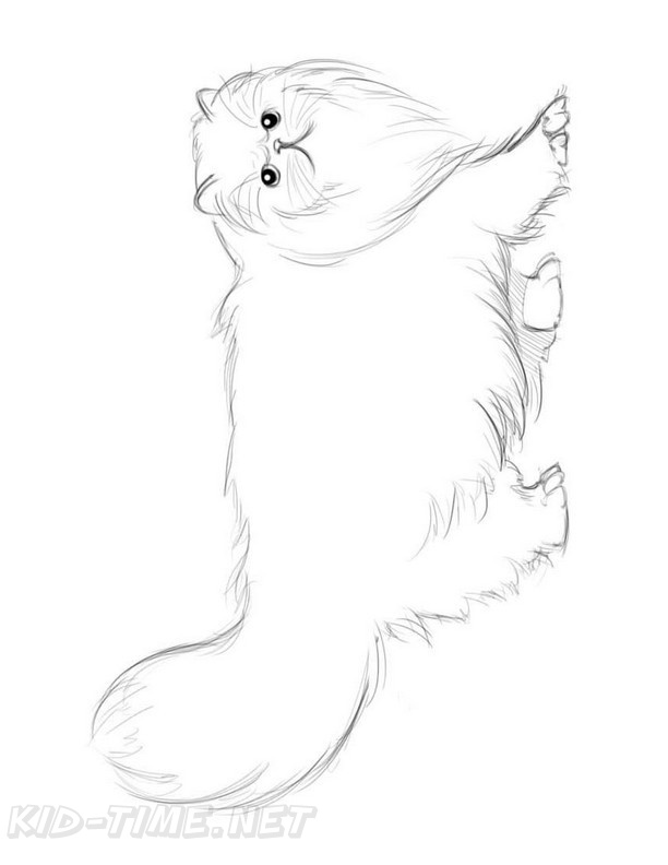 persian cat coloring pages