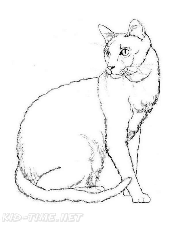 realistic cat coloring pages for kids