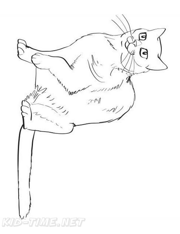 russia animals coloring pages