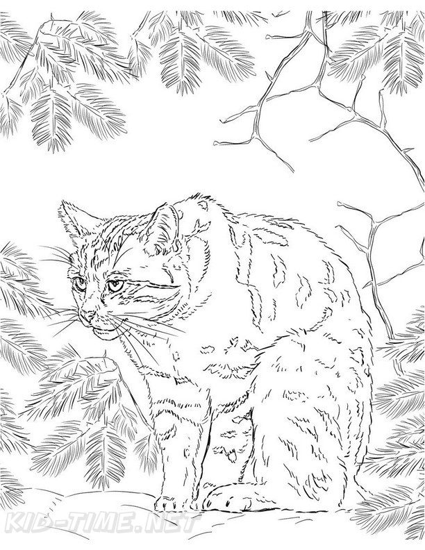 free printable scottish coloring pages