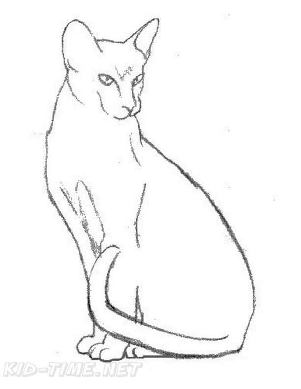 siamese cat coloring book