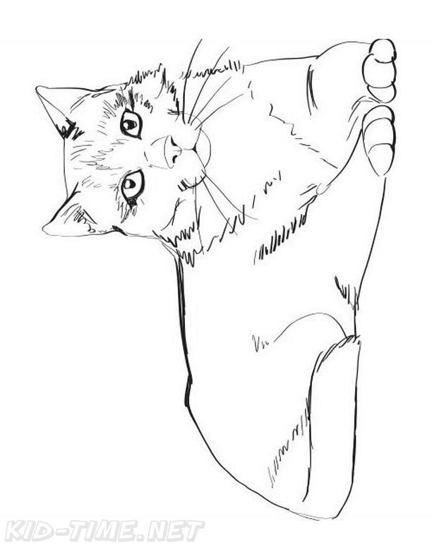 snowshoeing coloring pages