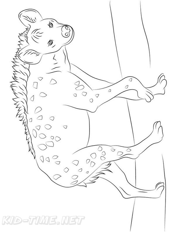 stotted hyena coloring pages