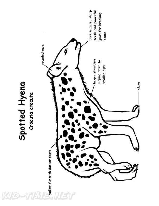 stotted hyena coloring pages