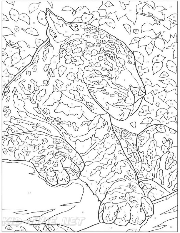 jaguar coloring pages printable