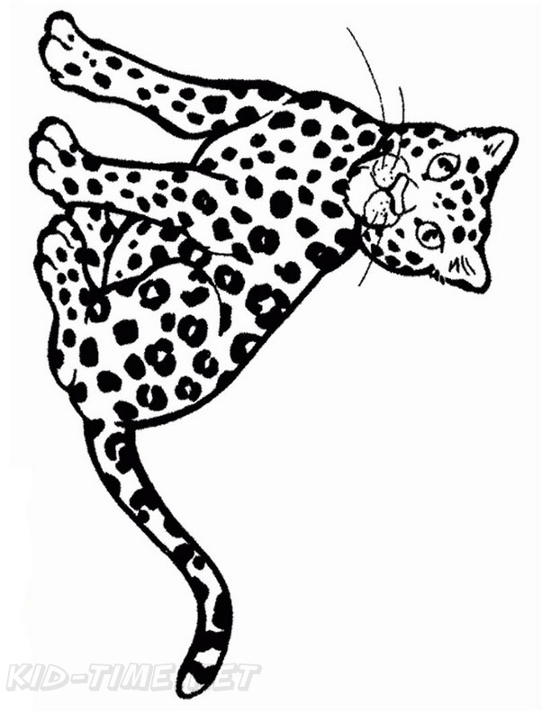 printable baby jaguar coloring pages