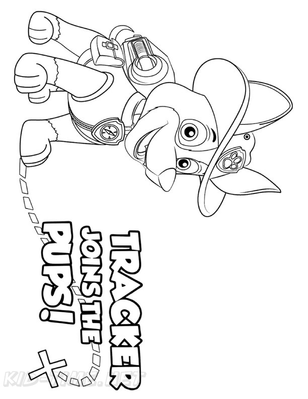 tracker paw patrol coloring pages
