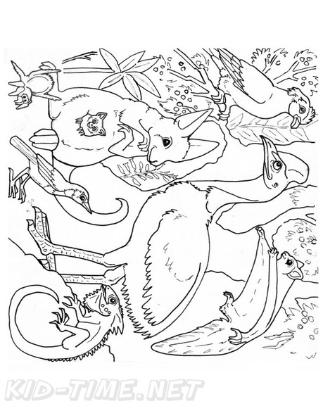 Amazon Rainforest Animals Coloring Book Page