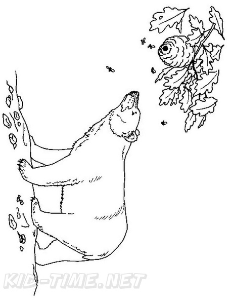 Black Bear Coloring Book Page
