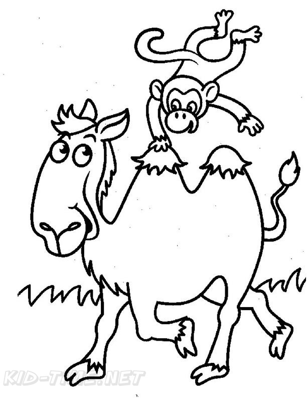 Camel Coloring Pages For Kids