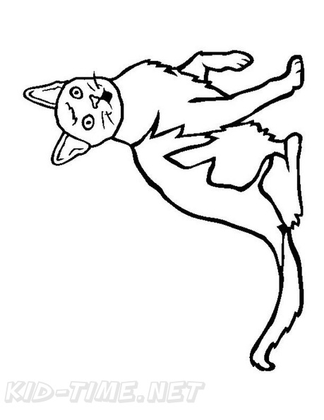 Burmese Cat Breed Coloring Book Page