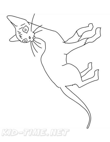 Siamese Cat Coloring Getcolorings Cartoon Printable Pages Sketch ...