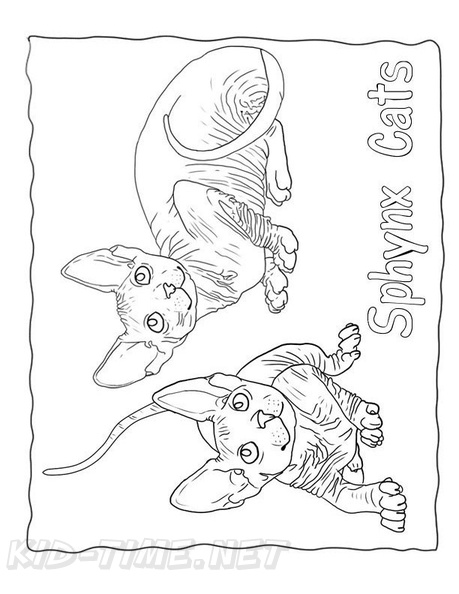 Sphynx Cat Coloring Book Page