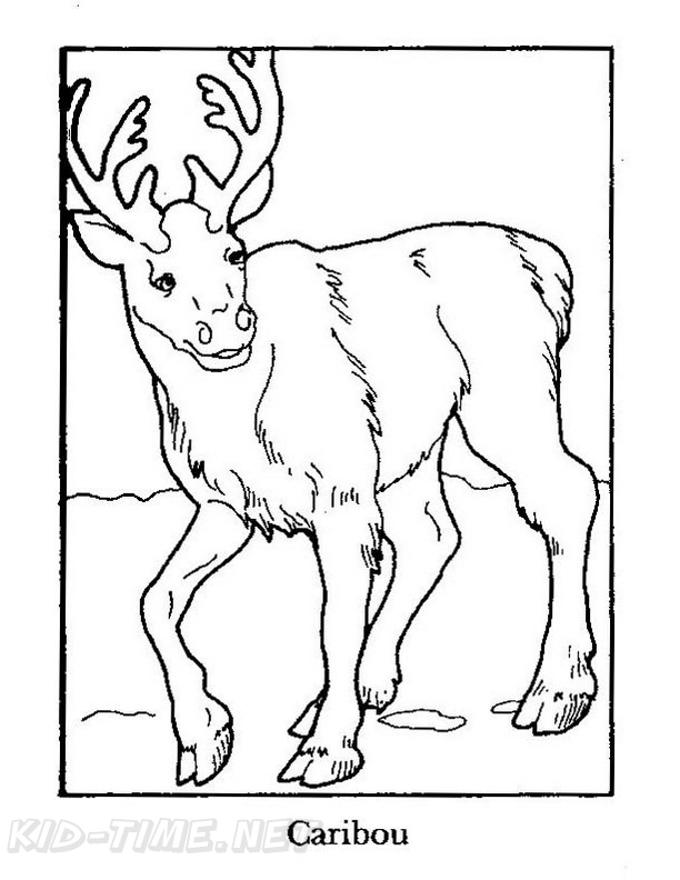 Caribou Coloring Pages