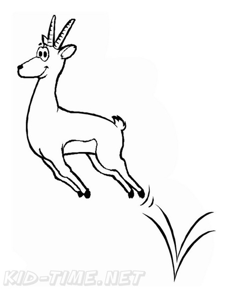 Gazelle Coloring Book Page