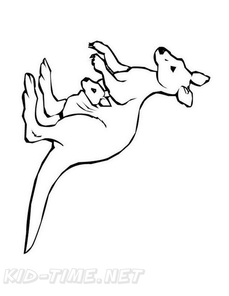 Baby Kangaroo Joey Coloring Book Page