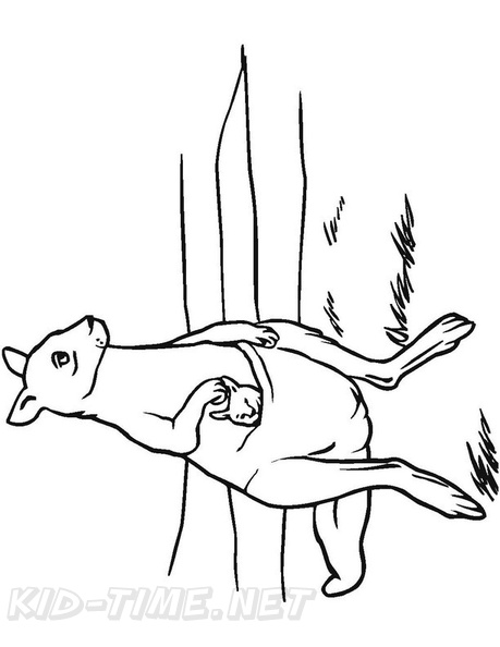 Kangaroo Joey Coloring Clipart Baby Craft Clip Printable Pouch Animals ...